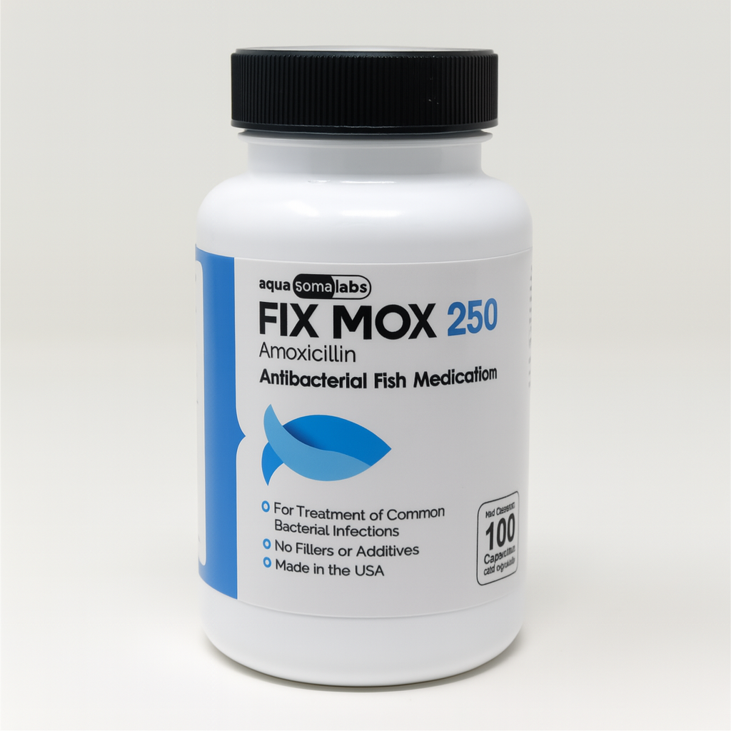 Fish Mox 250mg (100 Capsules) - Aquarium Antibiotics – Thomas labs fish ...